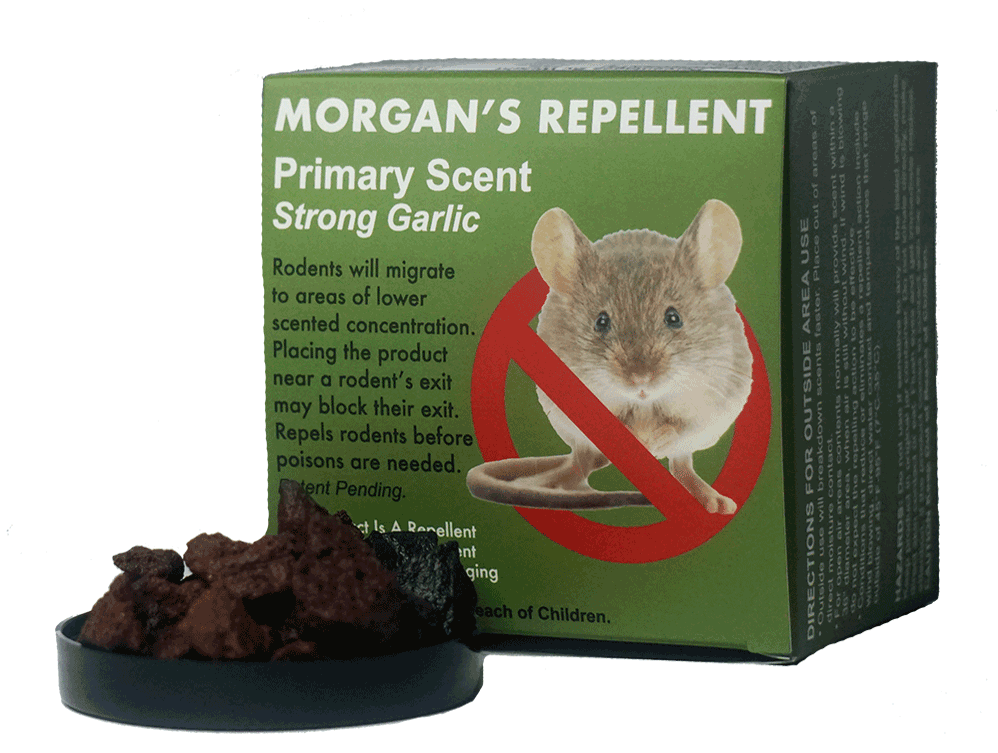 Morgan's Repellent - Morgan's Repellent